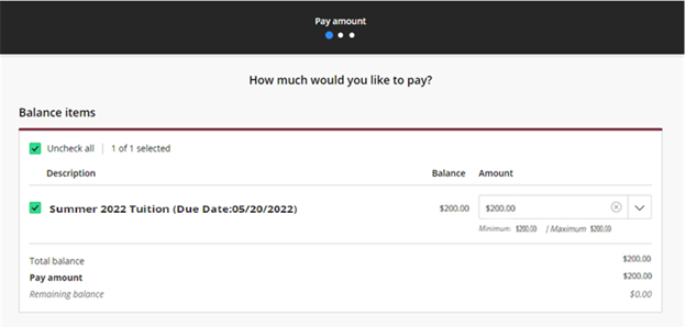 Make a Payment | Controller's Office